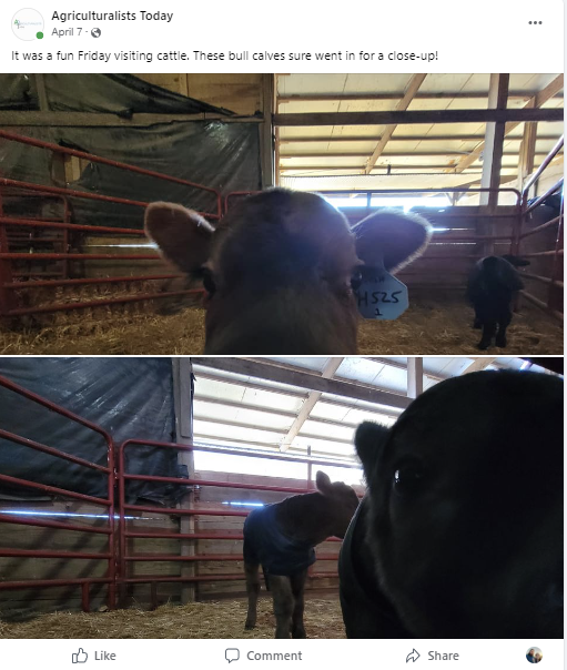 Media – Agriculturalists Today